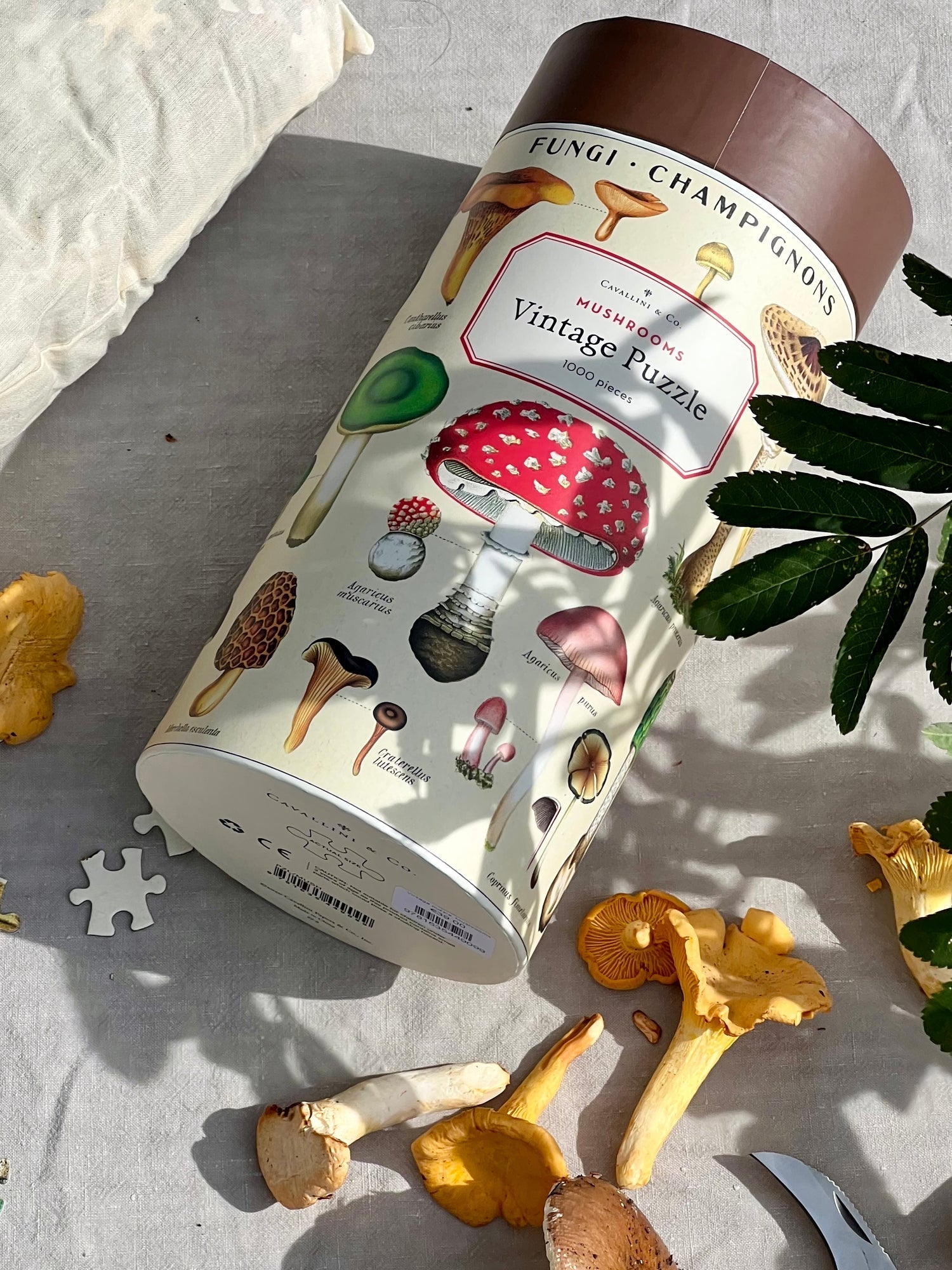 Fall Puzzles + Games – MEW + COMPANY