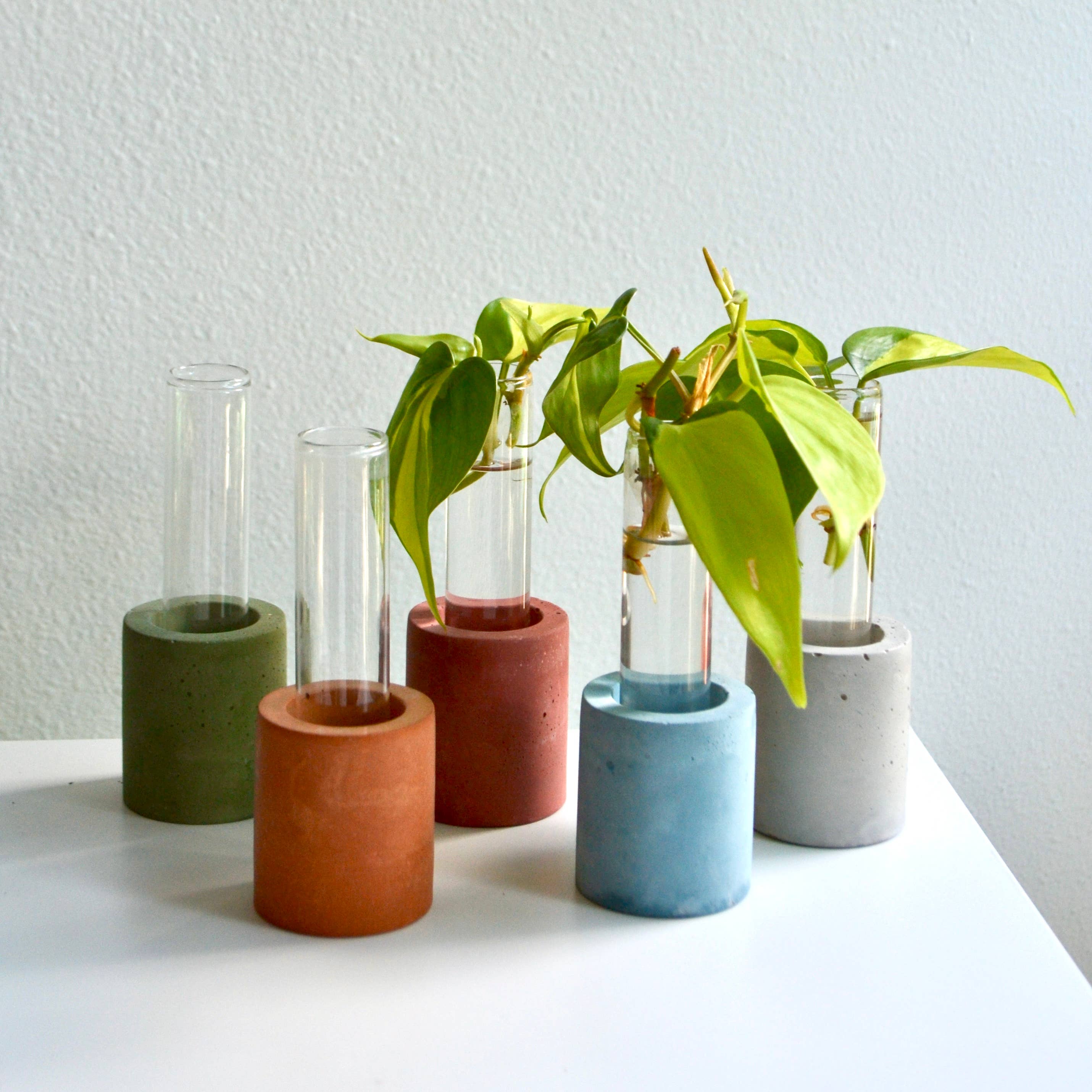 Concrete Propagation Test Tube | Pale Blue – MEW + COMPANY